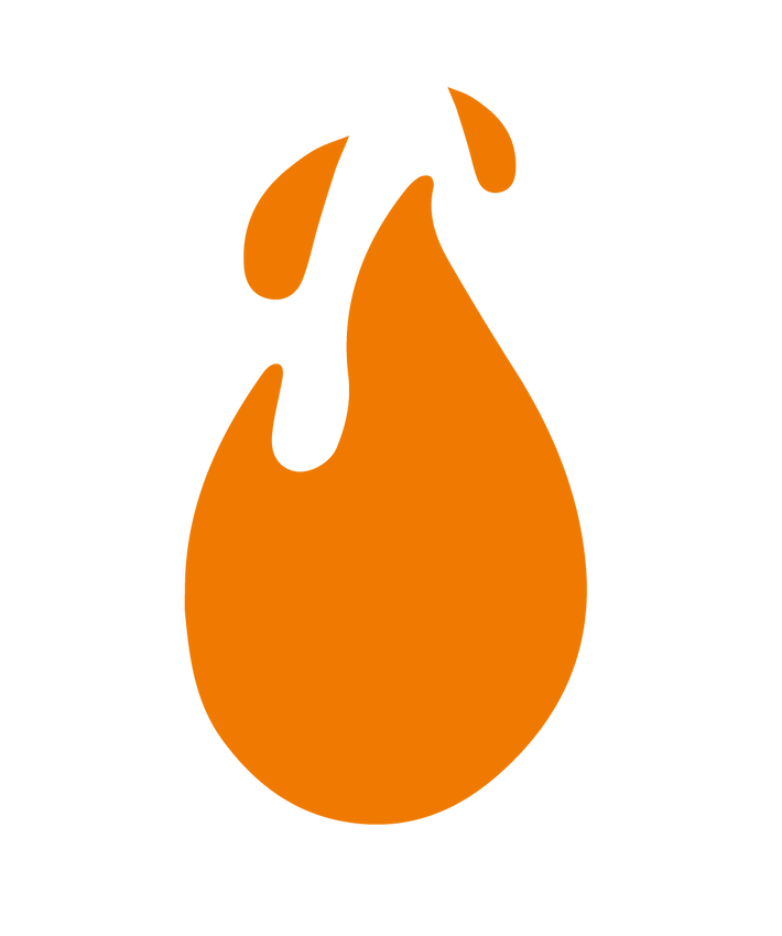 GYV Mesoamerican Beauty – GYV MESOAMERICAN BEAUTY