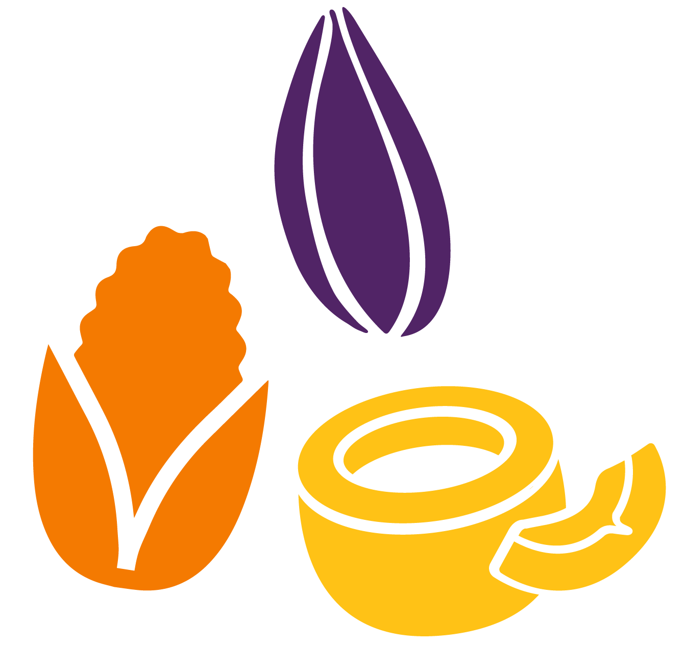 GYV Mesoamerican Beauty – GYV MESOAMERICAN BEAUTY