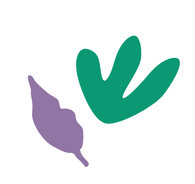 GYV Mesoamerican Beauty – GYV MESOAMERICAN BEAUTY